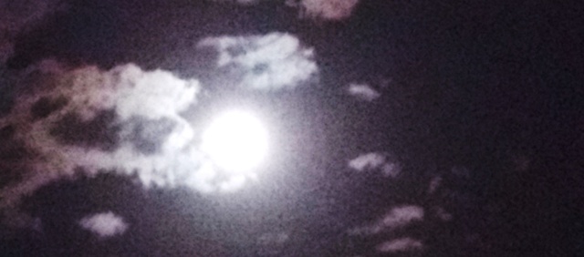 The Unpredictability of Life – Nora's Blog… Sixty and Still Going Strong!!